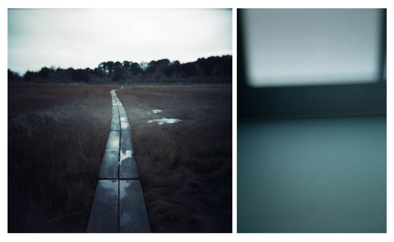 Gail Samuelson: Passing Through | Covet + Lou