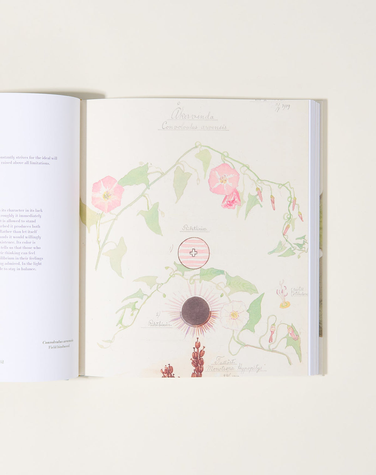 Hilma af Klint: What Stands Behind the Flowers | Artbook | Covet + Lou ...