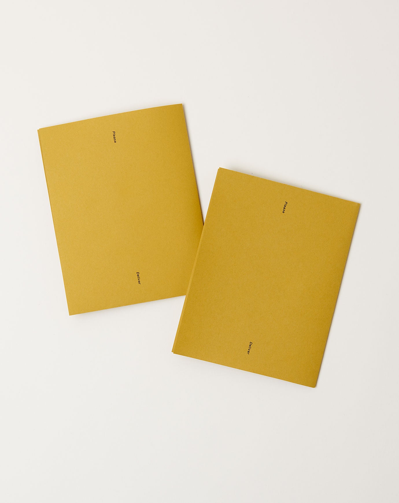 Two Faced Card Happy Birthday Pack of 2 | Goods Gang | Covet + Lou ...