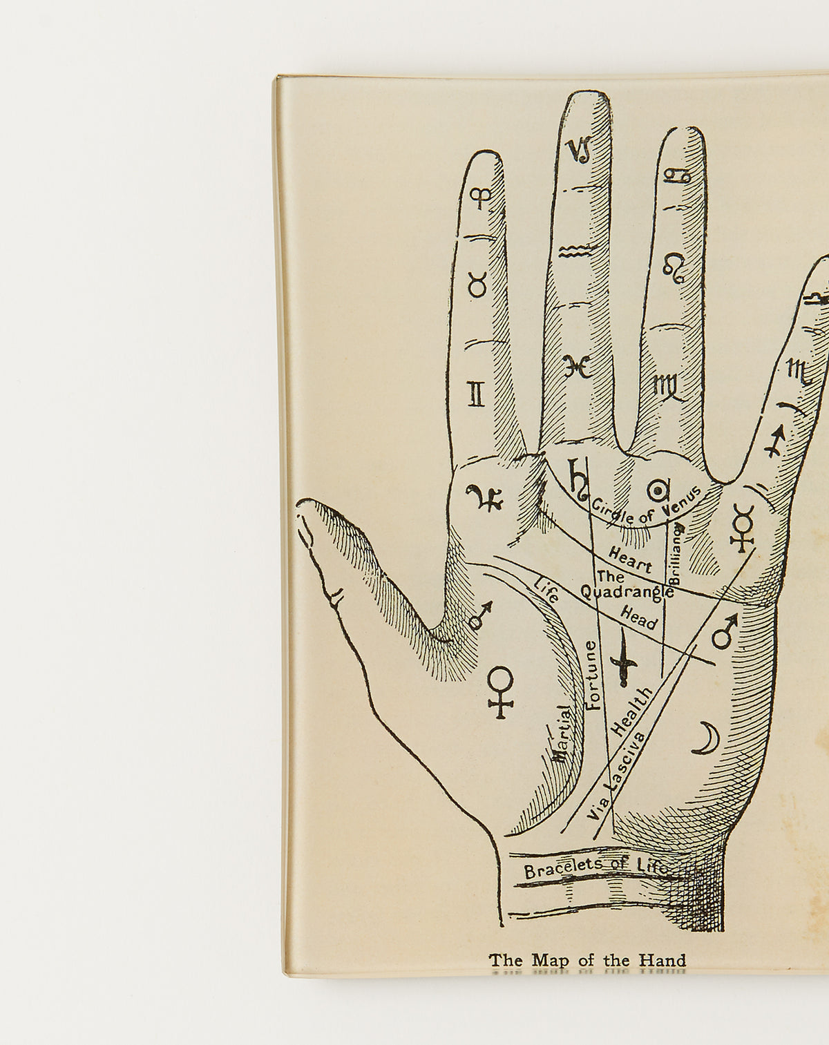 Map of the Hand Mini Tray | John Derian | Covet + Lou | Covet + Lou