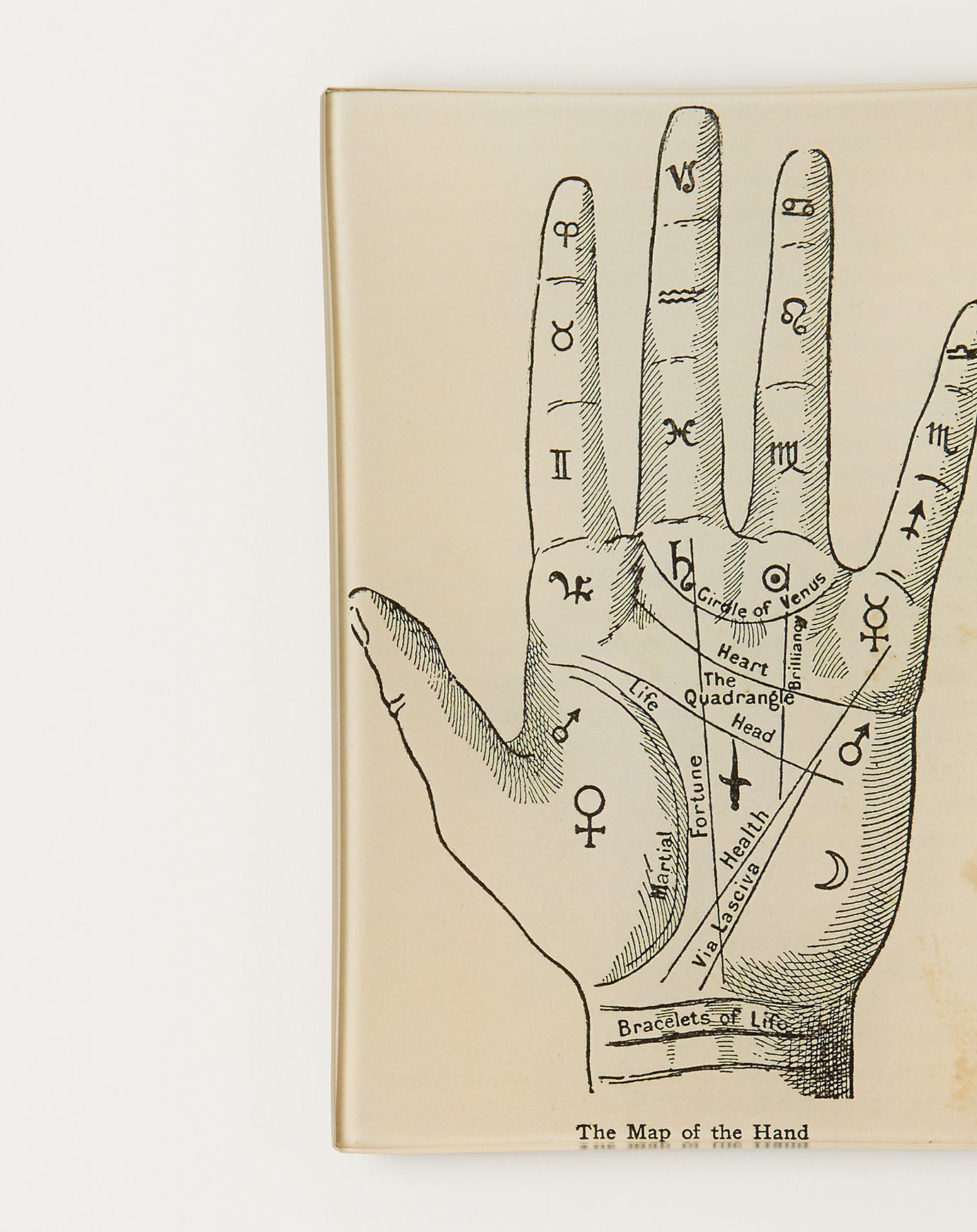 Map of the Hand Mini Tray | John Derian | Covet + Lou | Covet + Lou