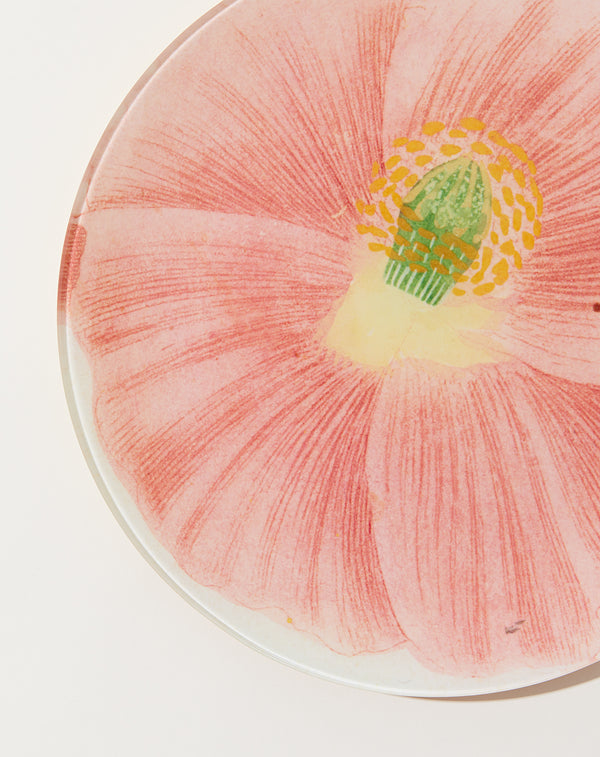 Simple Pink Poppy 10" Round | John Derian | Covet + Lou | Covet + Lou