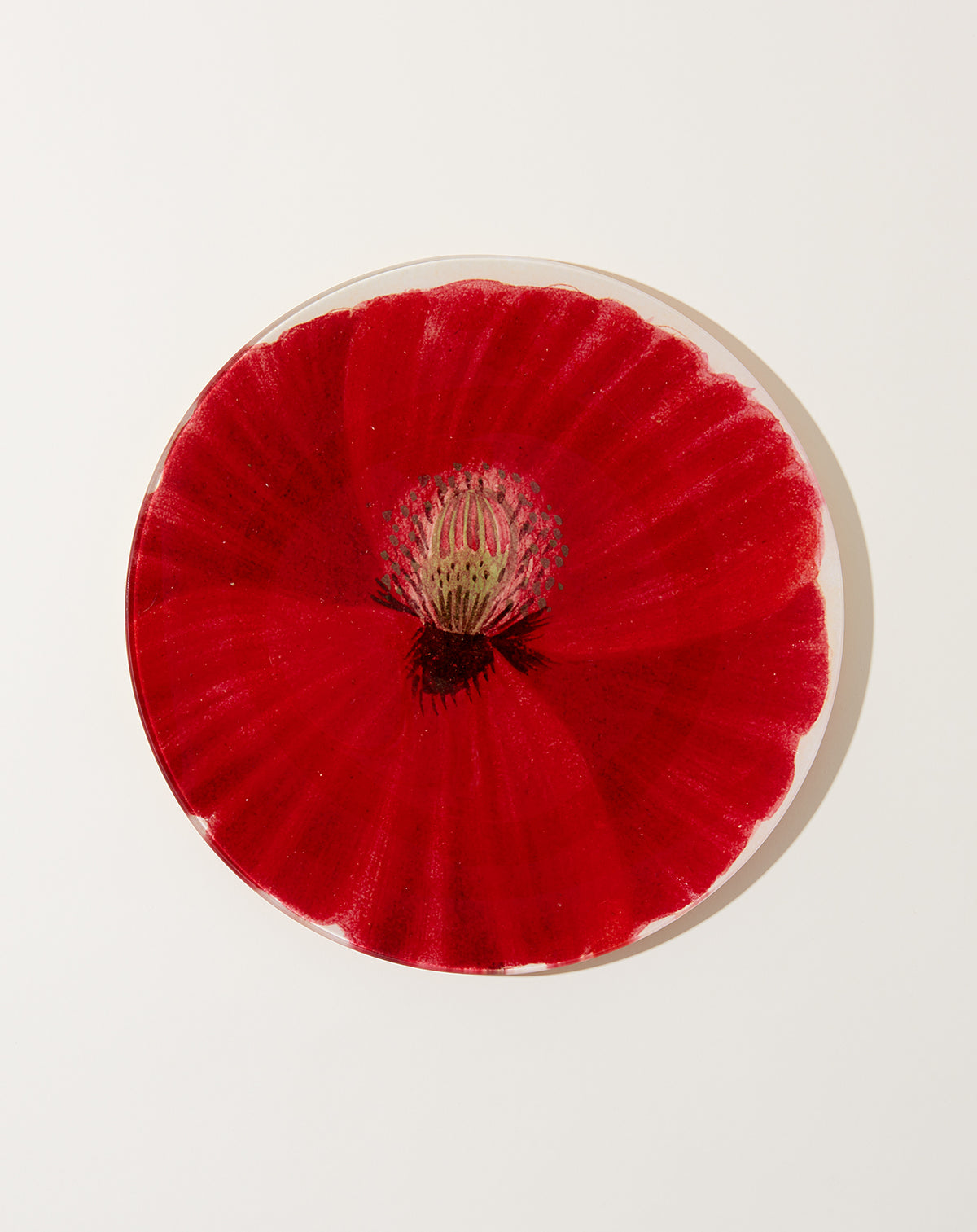 Wild Rose Poppy 10" Round | John Derian | Covet + Lou | Covet + Lou